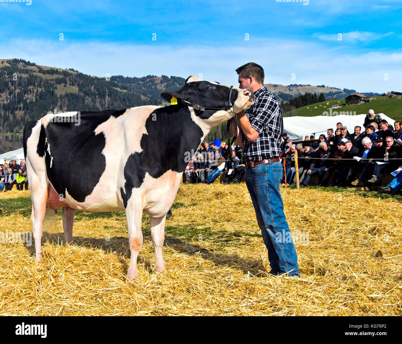 Presentation of the Holstein cow Bianca at the SWISSCOW Topschau ...