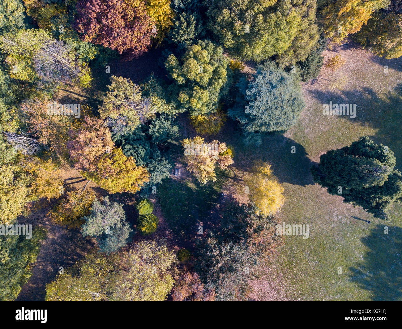 Nature and landscape: aerial view of a park, autumn foliage, leafy ...