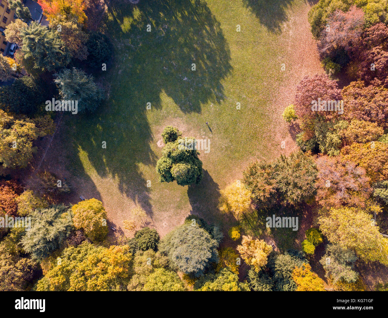 Nature and landscape: aerial view of a park, autumn foliage, leafy ...