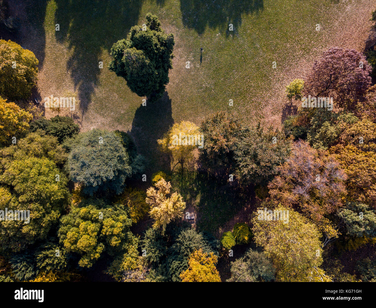Nature and landscape: aerial view of a park, autumn foliage, leafy ...