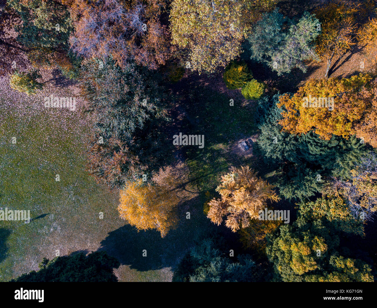 Nature and landscape: aerial view of a park, autumn foliage, leafy ...