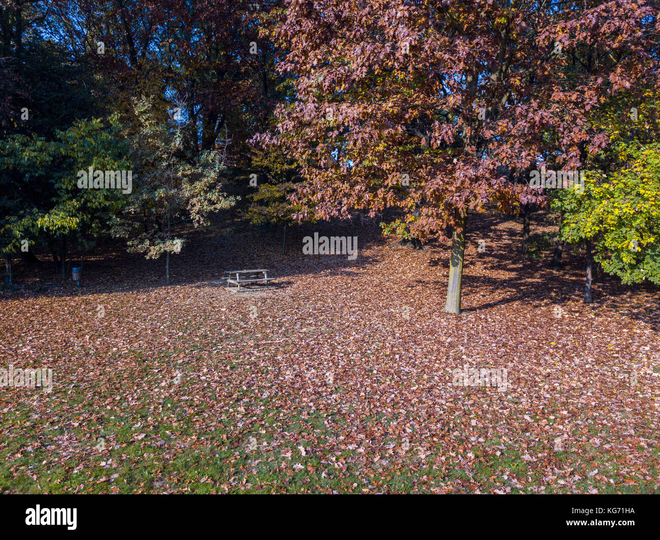 Nature and landscape: aerial view of a park, autumn foliage, leafy ...