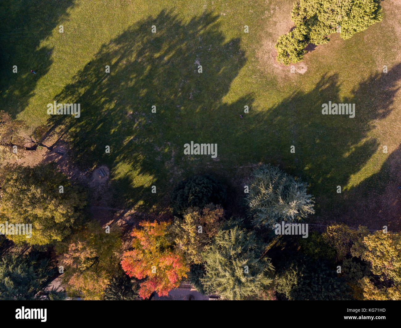 Nature and landscape: aerial view of a park, autumn foliage, leafy ...