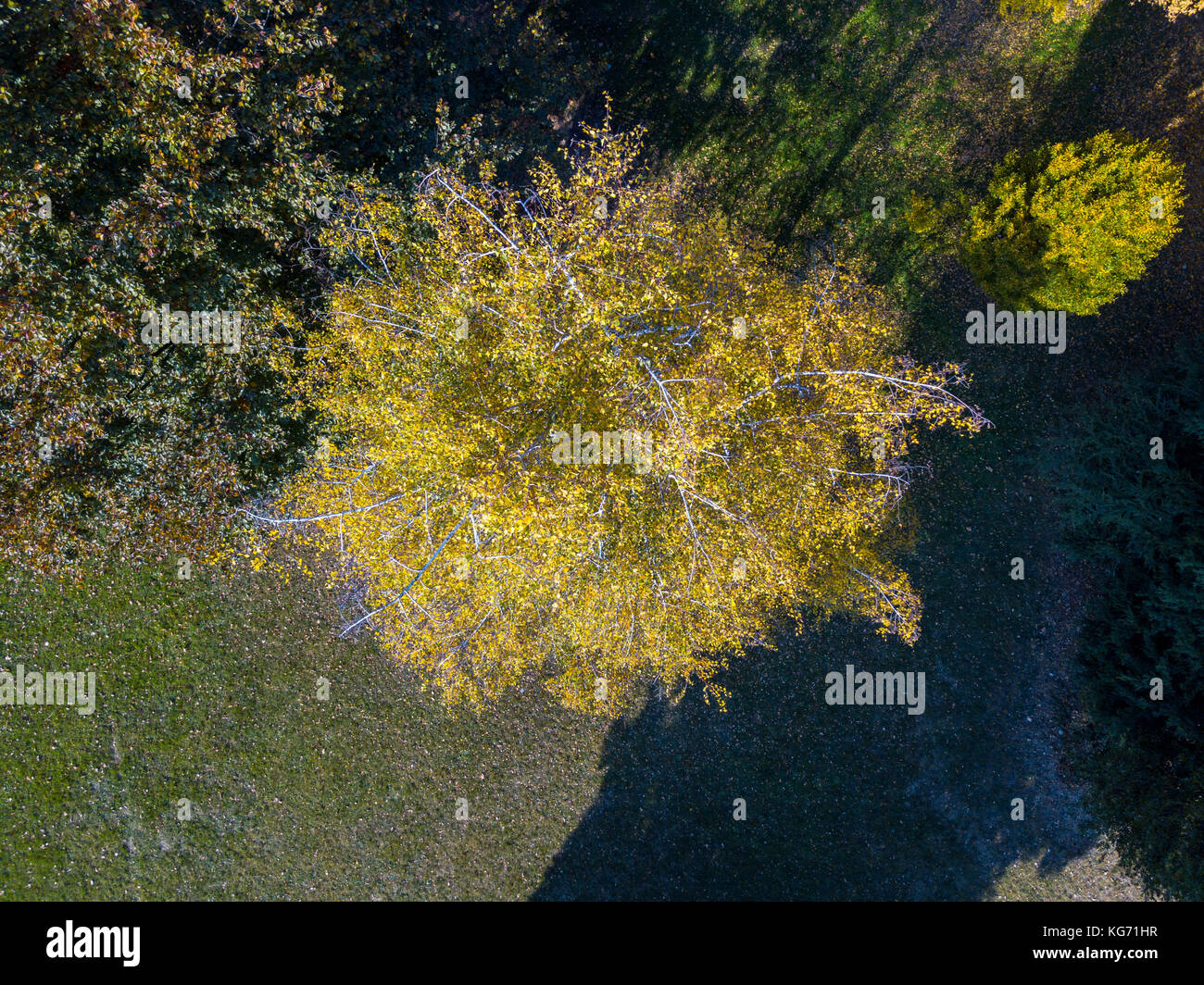 Nature and landscape: aerial view of a park, autumn foliage, leafy ...