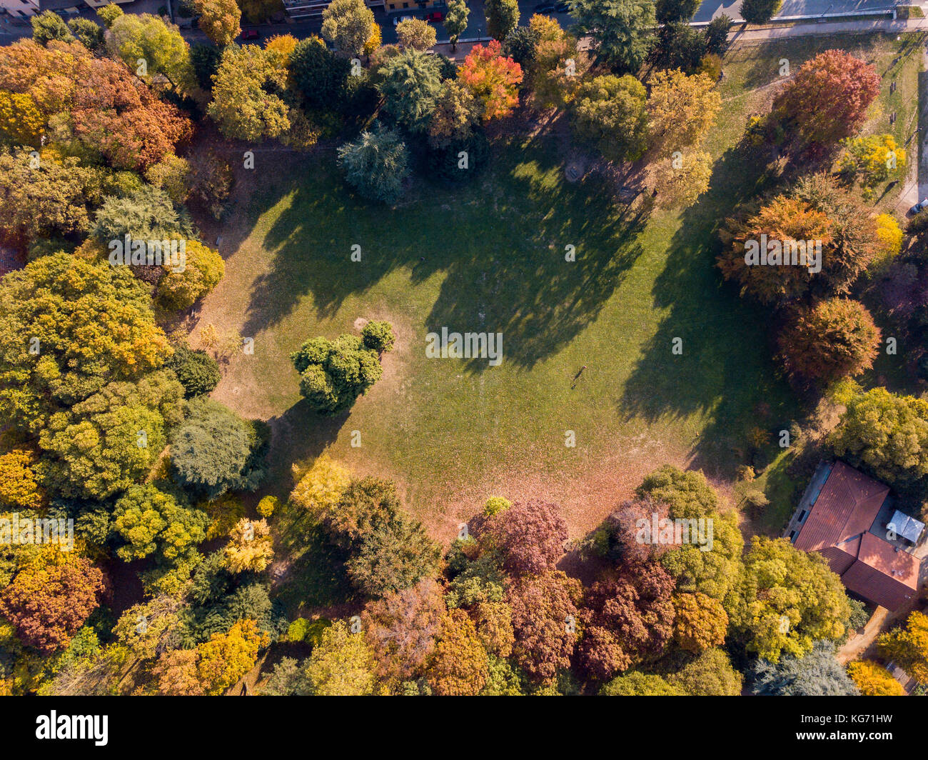 Nature and landscape: aerial view of a park, autumn foliage, leafy ...