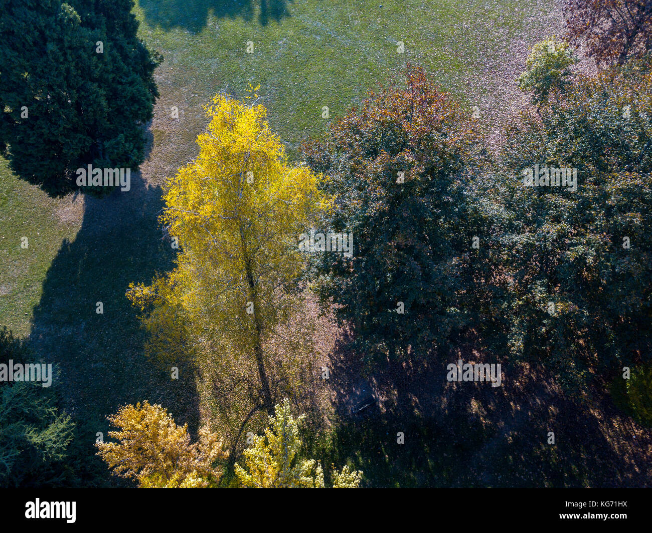 Nature and landscape: aerial view of a park, autumn foliage, leafy ...