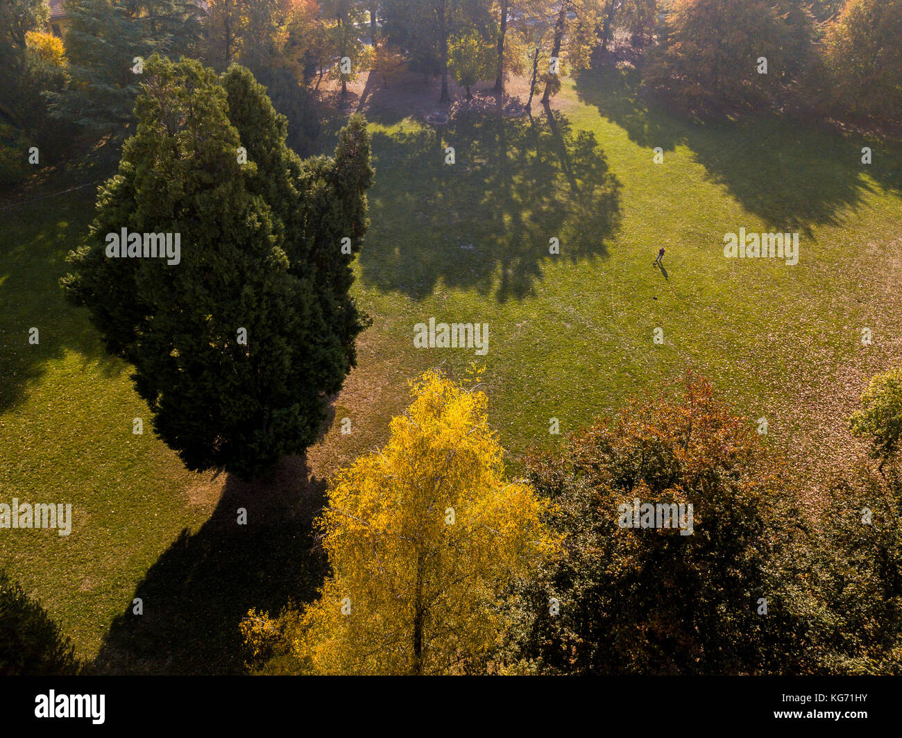 Nature and landscape: aerial view of a park, autumn foliage, leafy ...