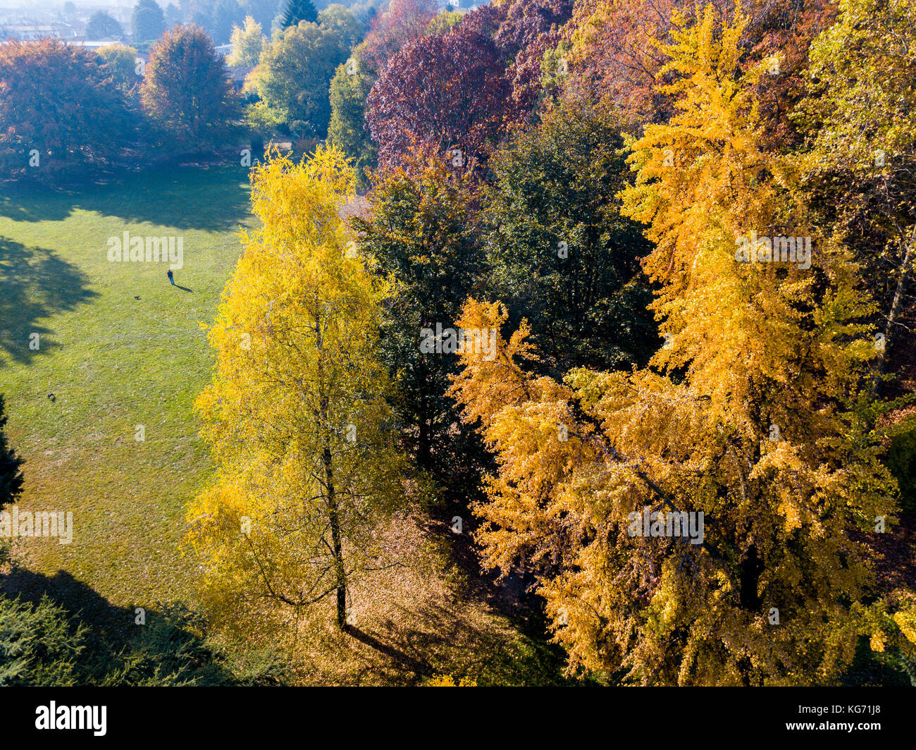 Nature and landscape: aerial view of a park, autumn foliage, leafy ...