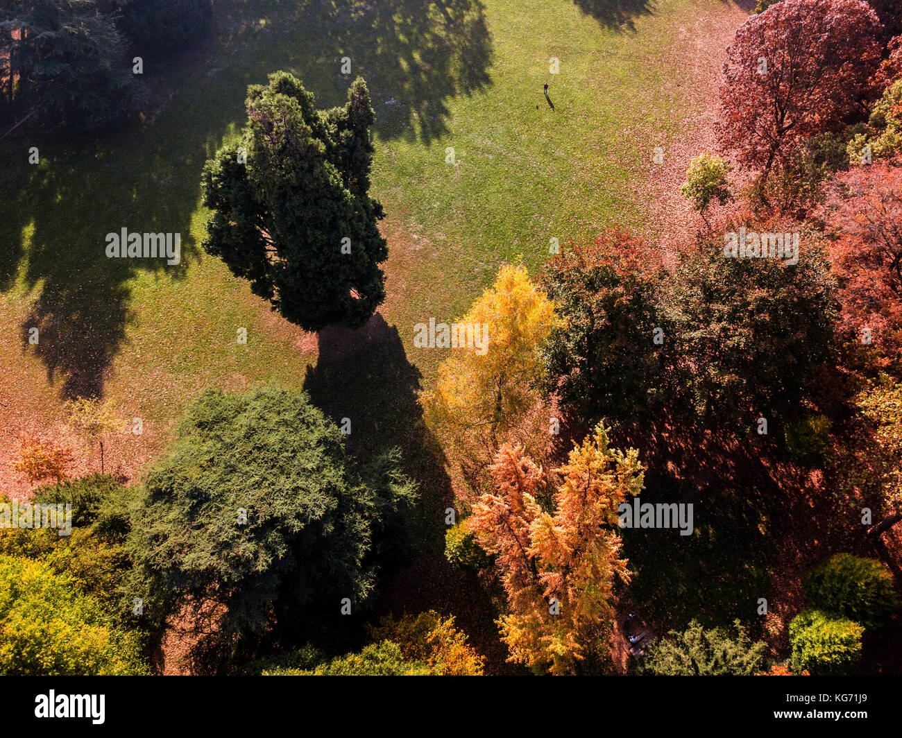 Nature and landscape: aerial view of a park, autumn foliage, leafy ...