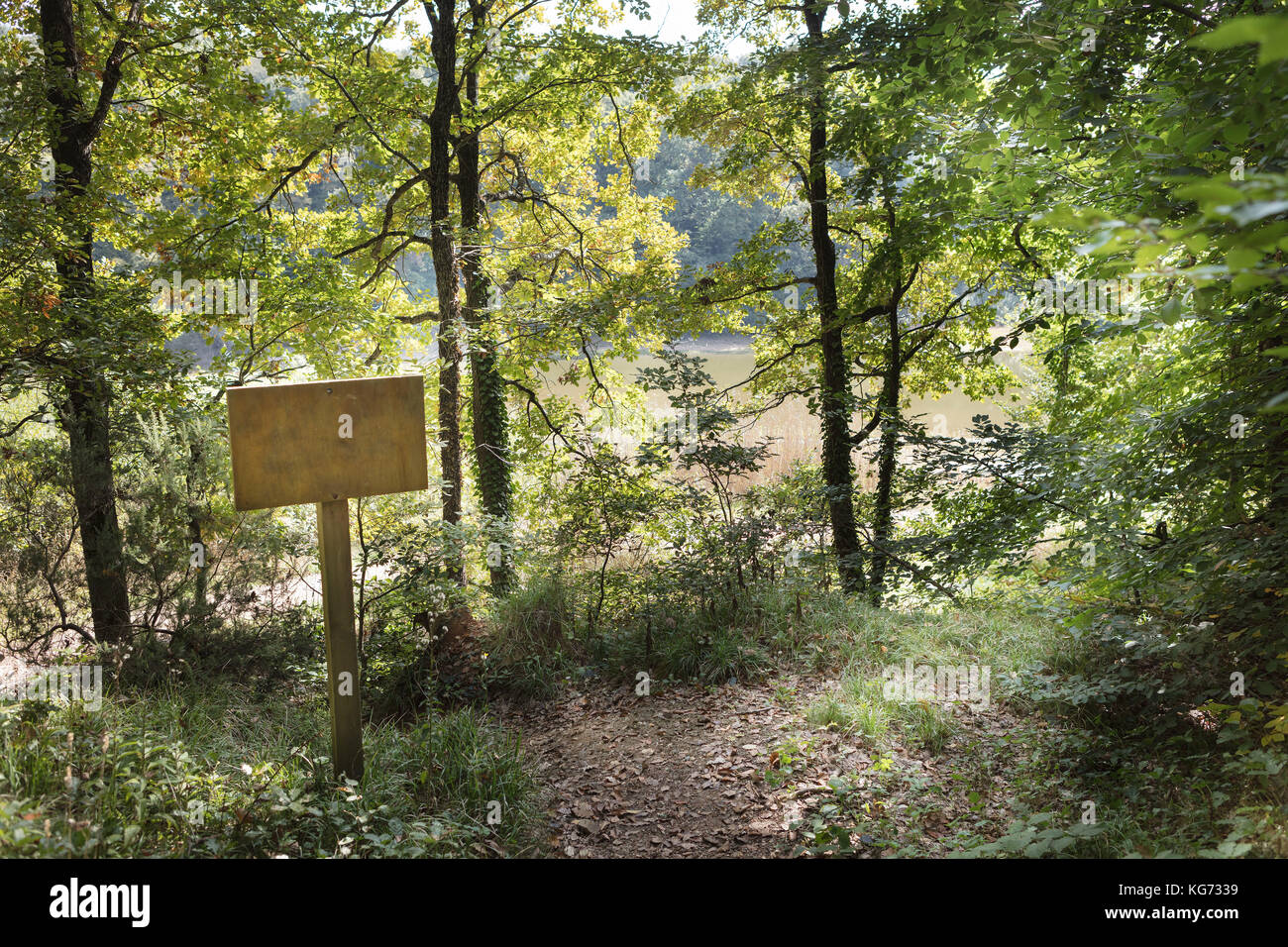 empty signboard in front of an autumn forest Stock Photo - Alamy