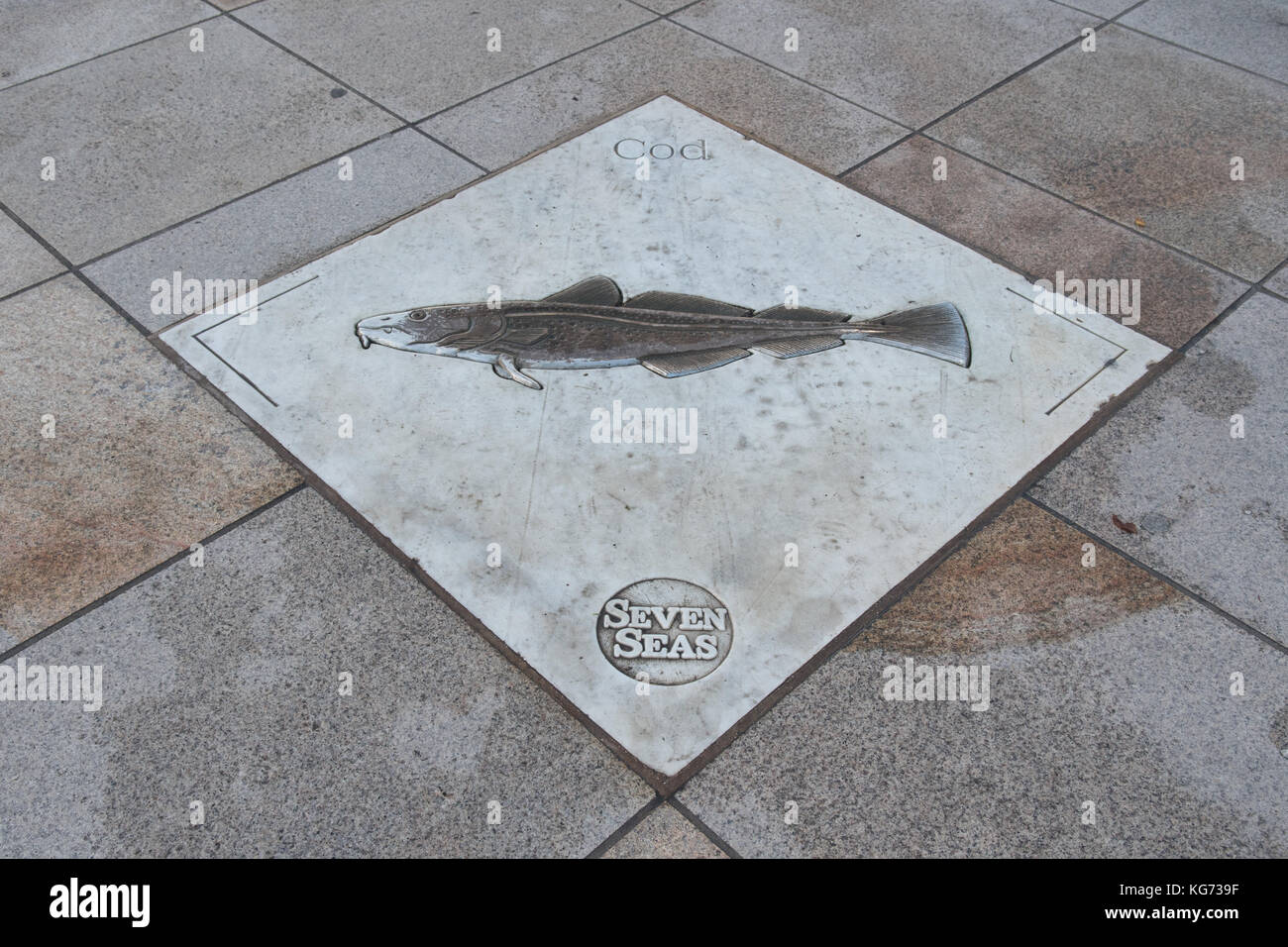 Part of the Seven Seas Fish Trail in Hull, england, UK Stock Photo - Alamy
