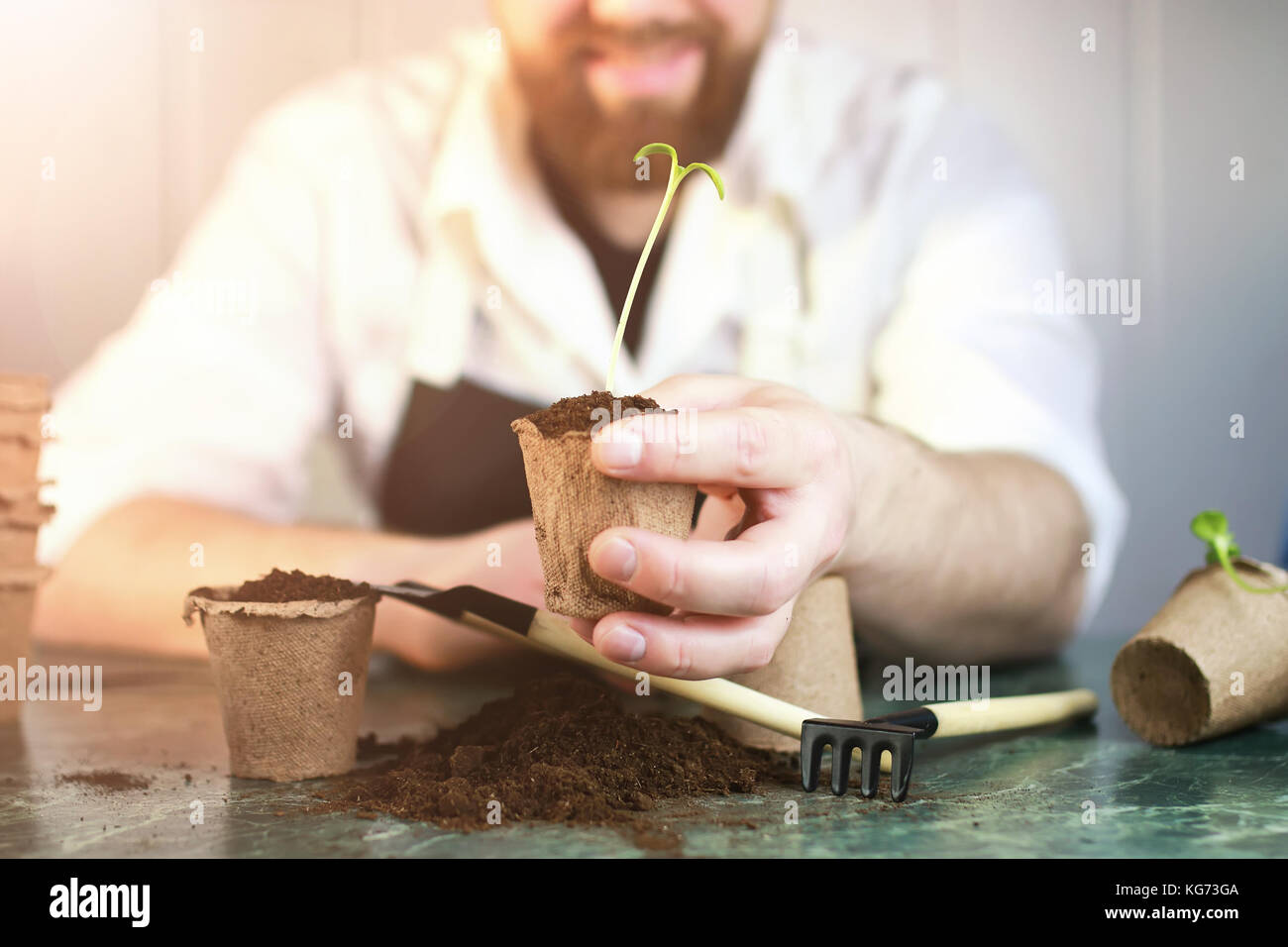 Prepended seedlings hi-res stock photography and images - Alamy