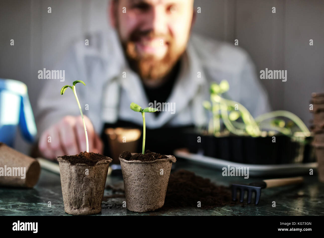 Prepended seedlings hi-res stock photography and images - Alamy