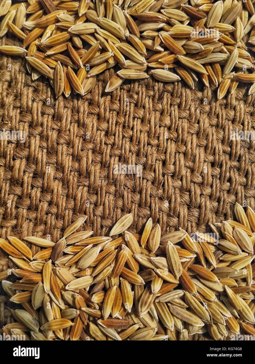 Unhusked rice hi-res stock photography and images - Alamy