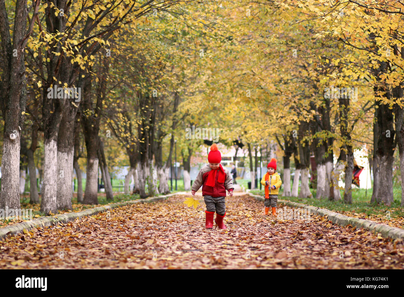 kids in autumn park with pumpkin around fall leaves Stock Photo - Alamy
