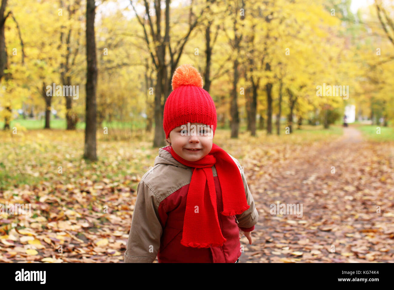 kids in autumn park with pumpkin around fall leaves Stock Photo - Alamy