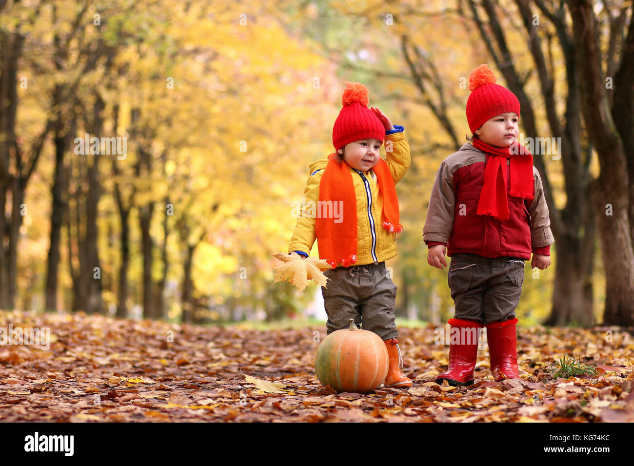 kids in autumn park with pumpkin around fall leaves Stock Photo - Alamy