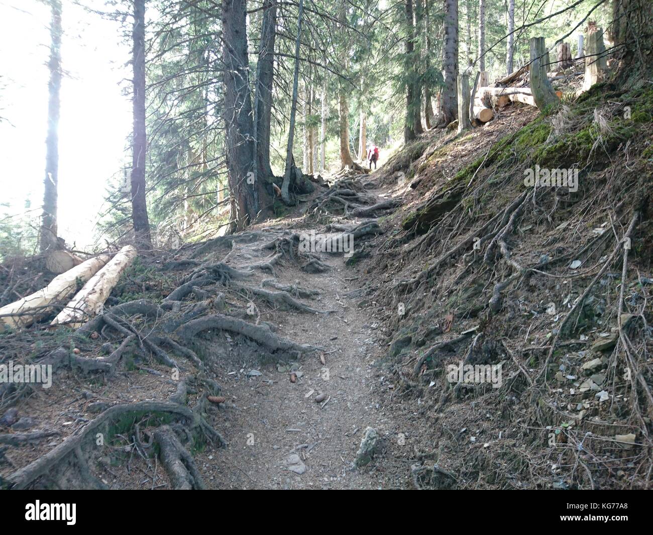 Path to the summit Stock Photo - Alamy