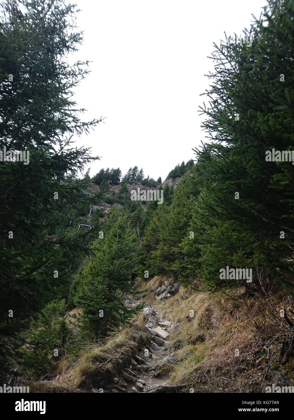 Path to the summit Stock Photo - Alamy