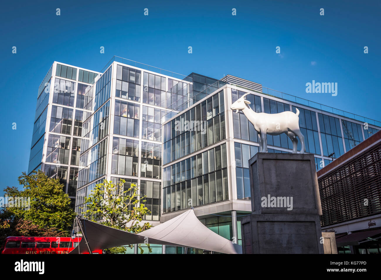 Prize winning goat hi-res stock photography and images - Alamy