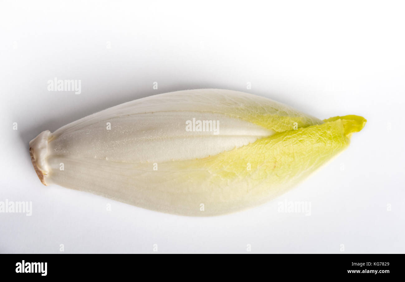 Belgian endives on a white background Stock Photo - Alamy