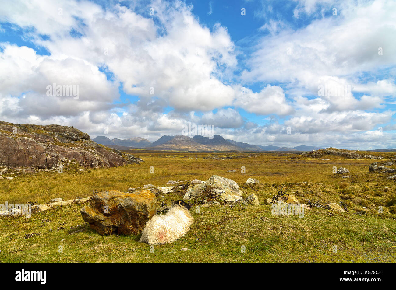 Connemara national park hi-res stock photography and images - Alamy