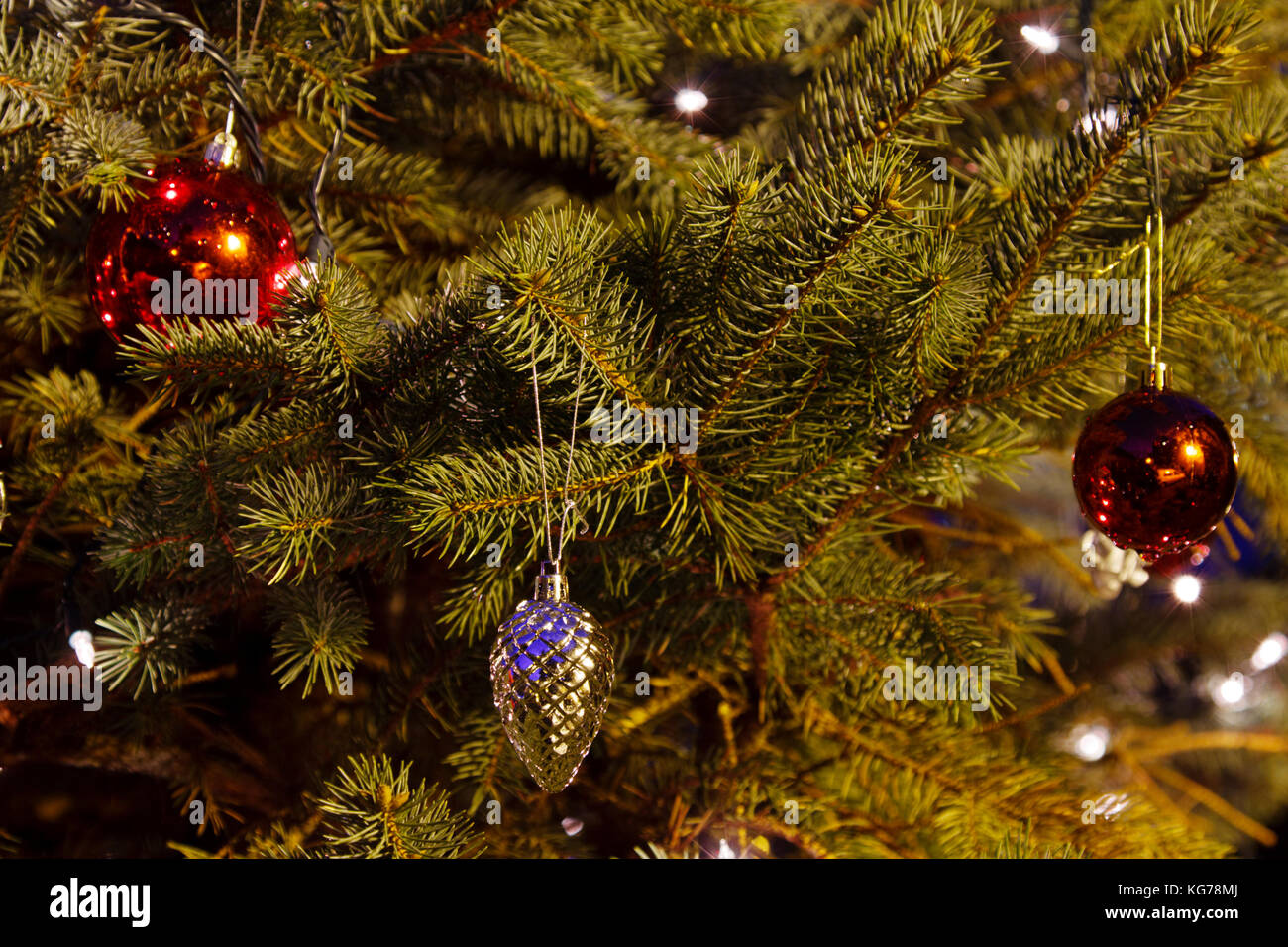 Night christmas tree illuminated hi-res stock photography and images ...
