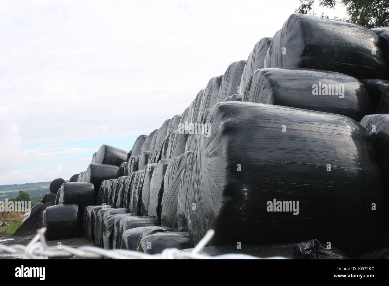 hay bale silage plastic cover stored straw cereal rolls Stock Photo - Alamy