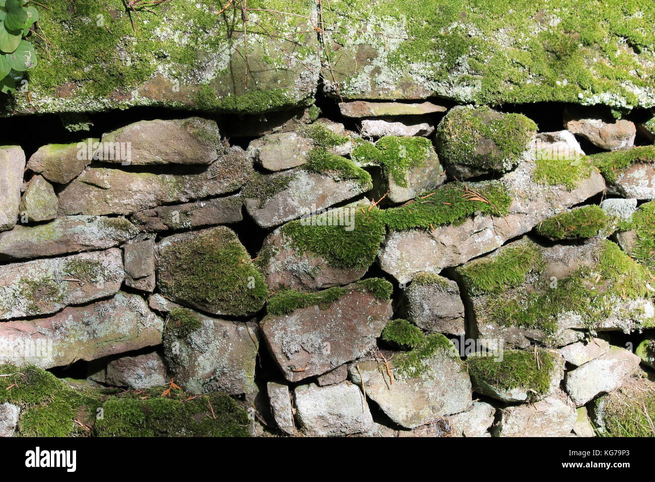 dry stone wall moss loose stones Stock Photo - Alamy
