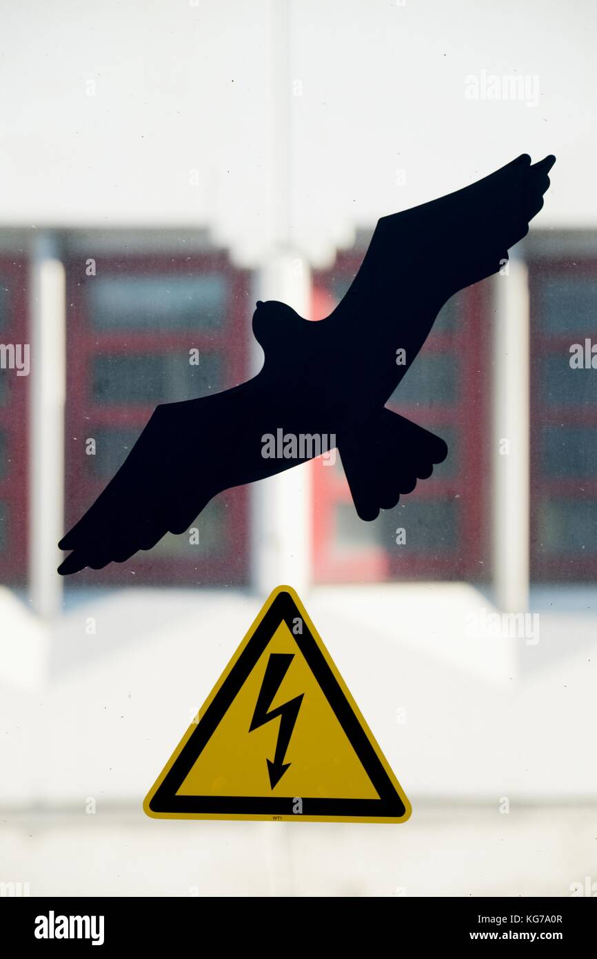 Glued shield hi-res stock photography and images - Alamy