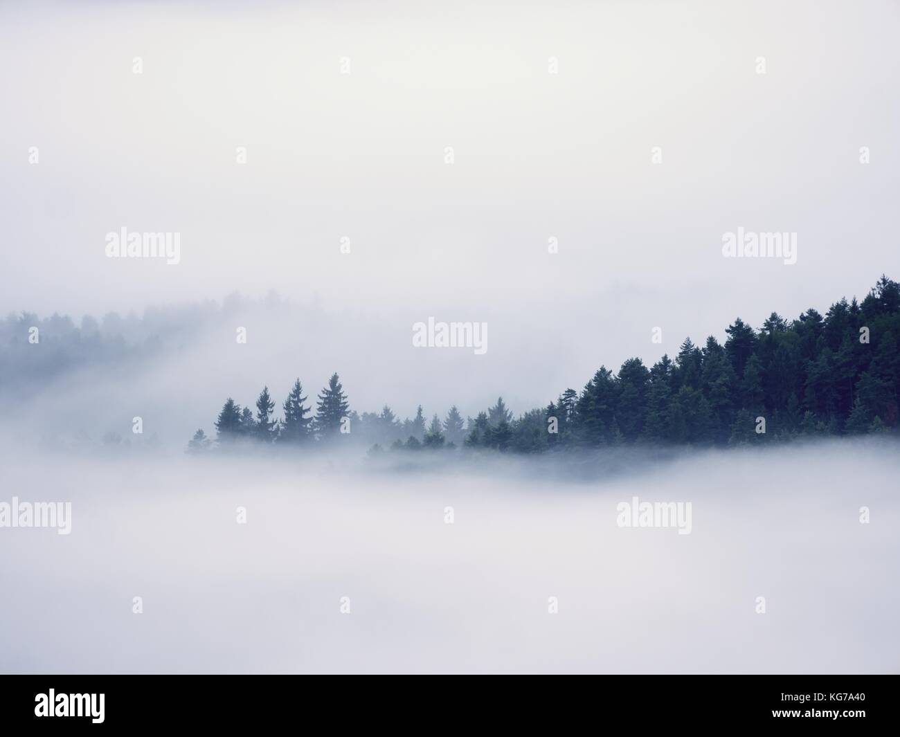 Magnificent heavy mist in landscape. Autumn creamy fog in countryside ...