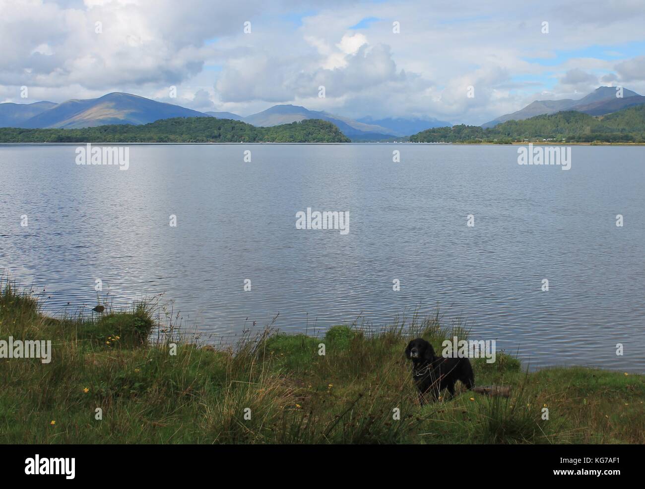 Loch Lomond, Scotland view across the lake loch showing where highlands ...
