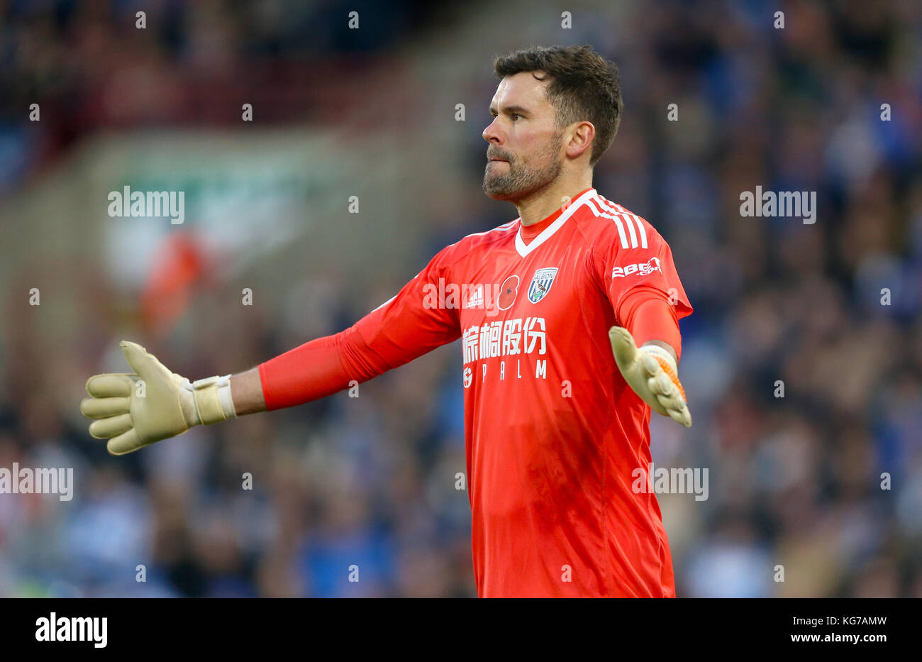 West Bromwich Albion goalkeeper Ben Foster during the Premier League ...