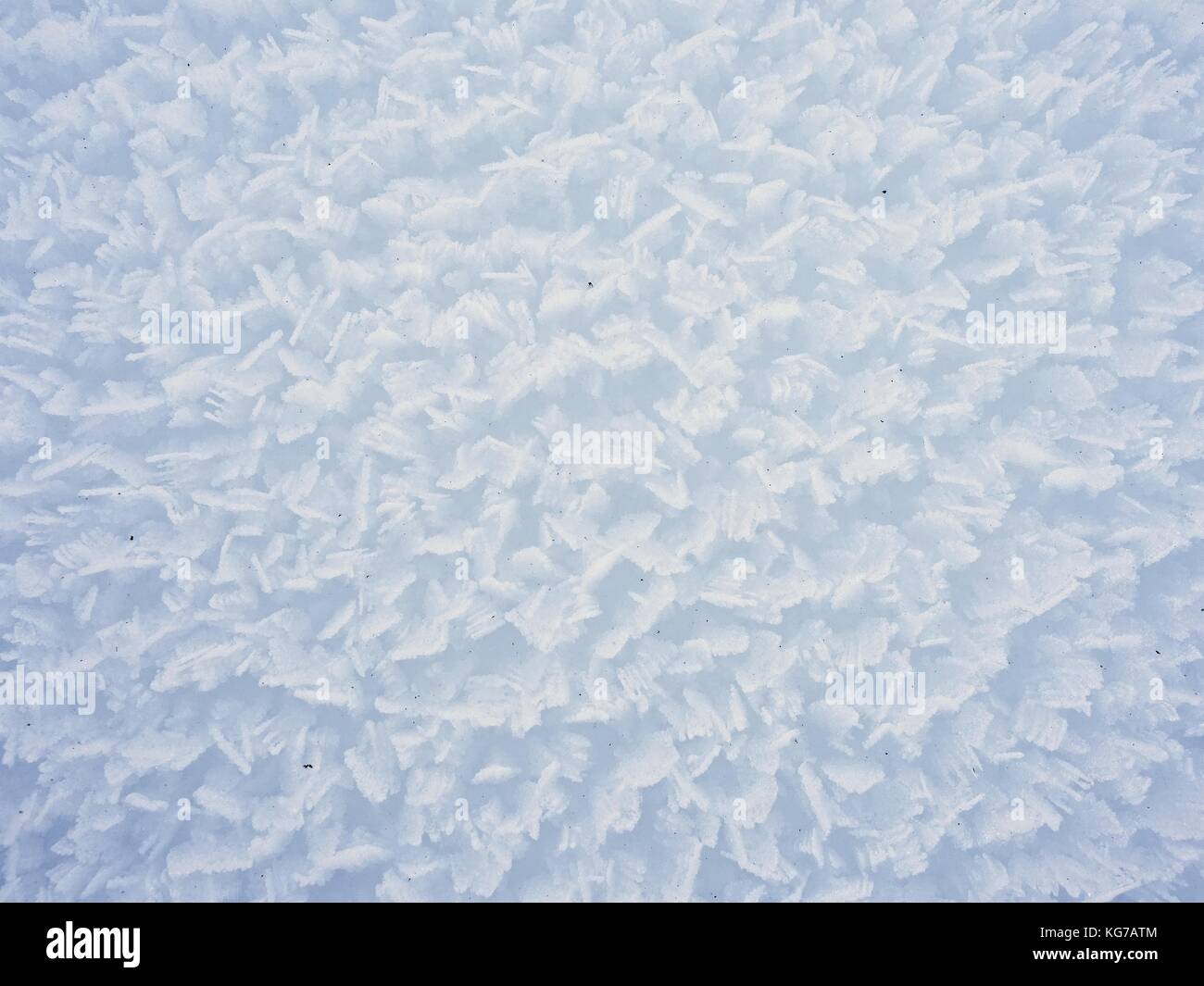 Snow Surface Flakes Snow Where? Town On Edge Of Sahara Desert Gets