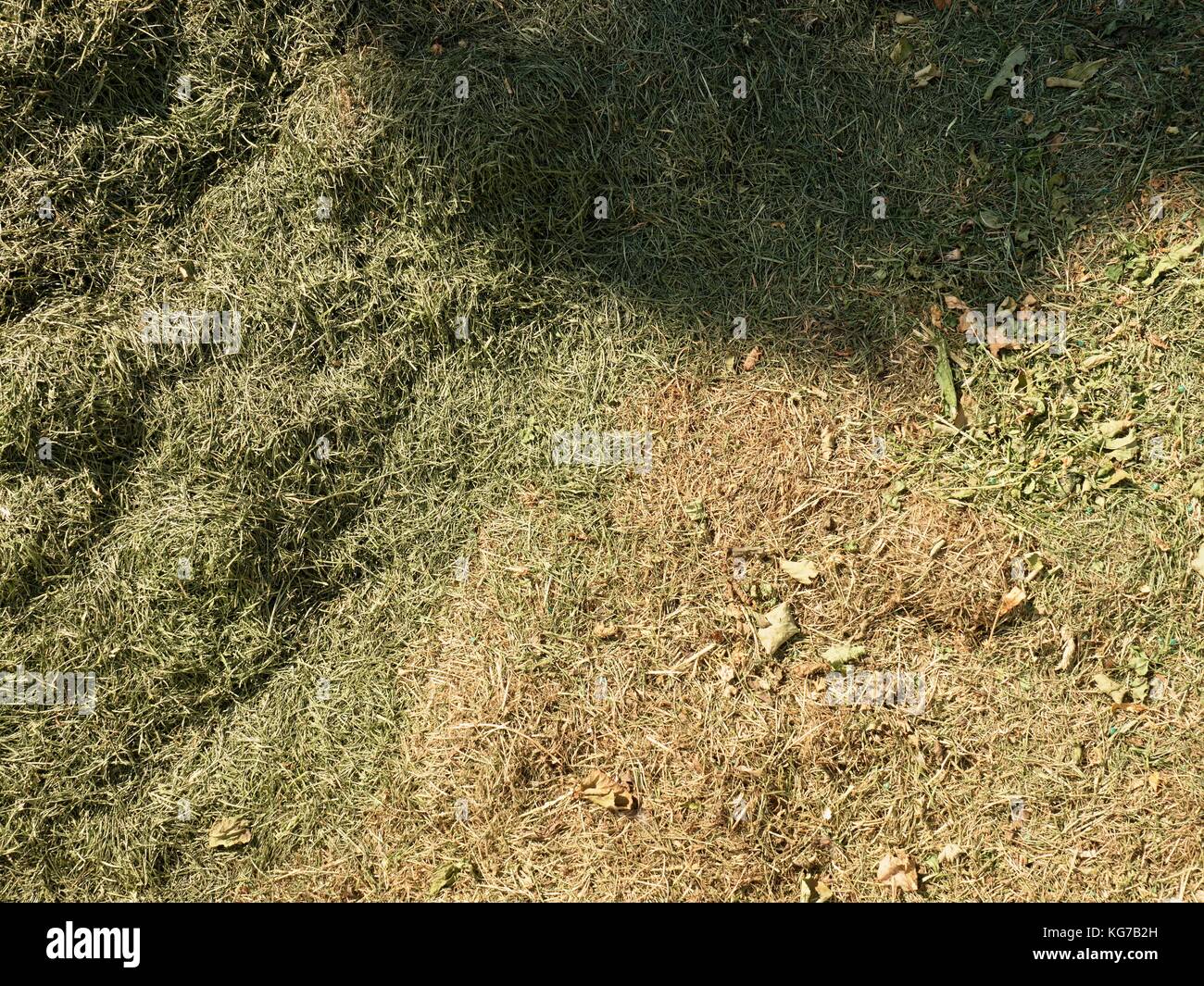 Silage mound hi-res stock photography and images - Alamy