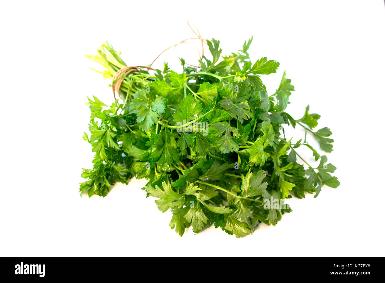 Fresh parsley isolated on white background, tied with rope Stock Photo ...