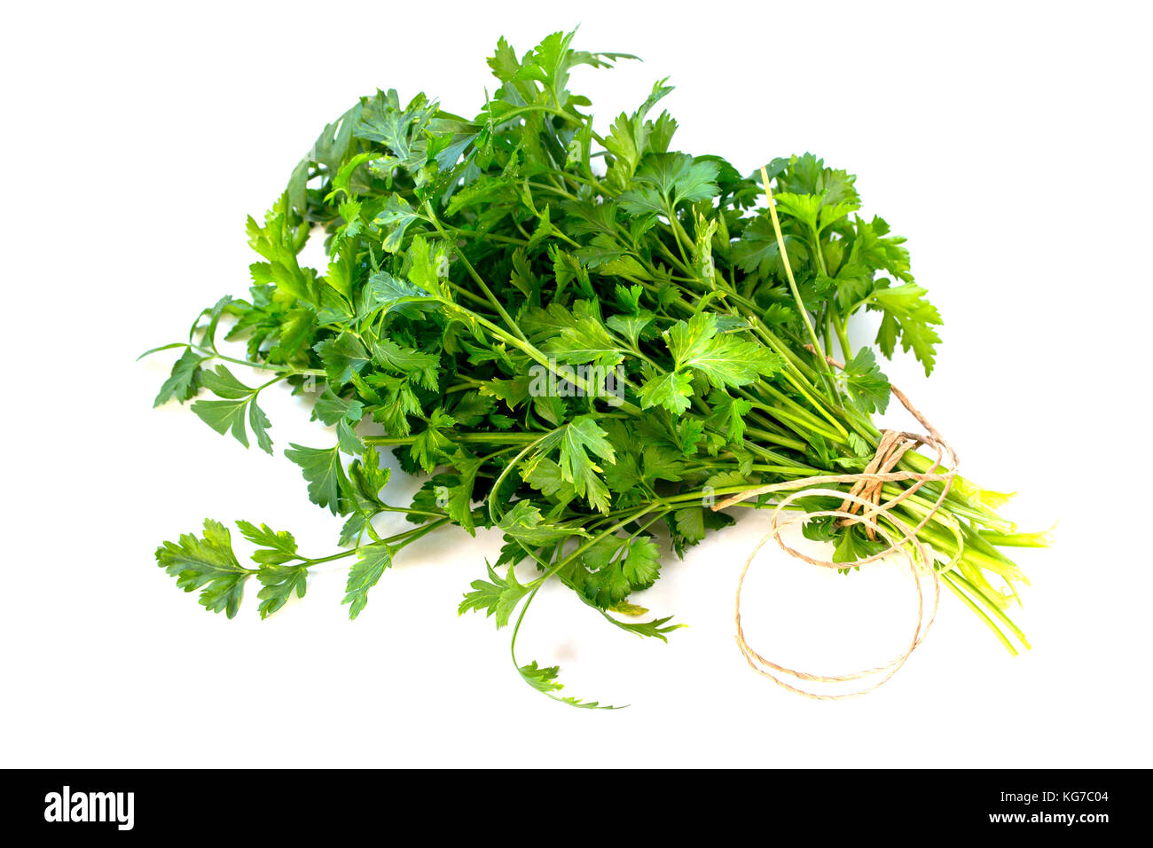 Fresh parsley isolated on white background, tied with rope Stock Photo ...