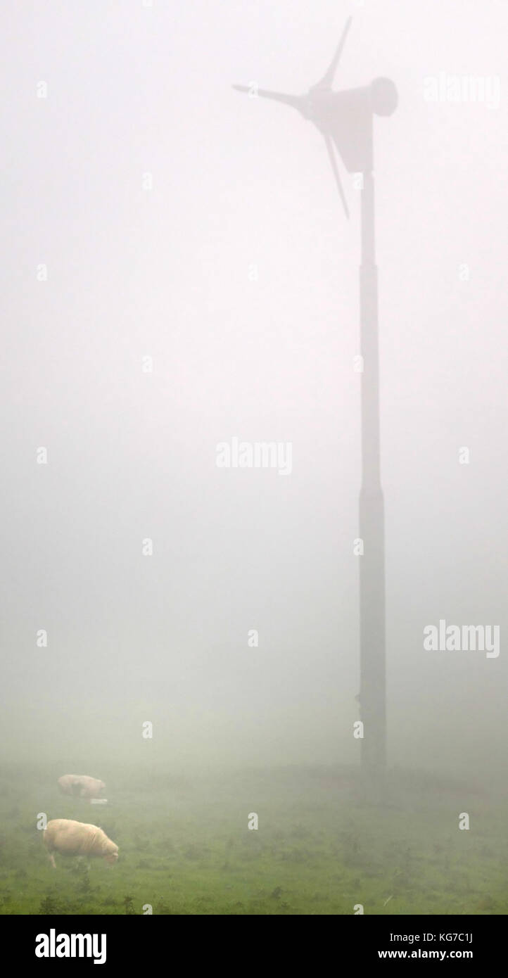 Wind turbine and solitary sheep in the fog Stock Photo - Alamy