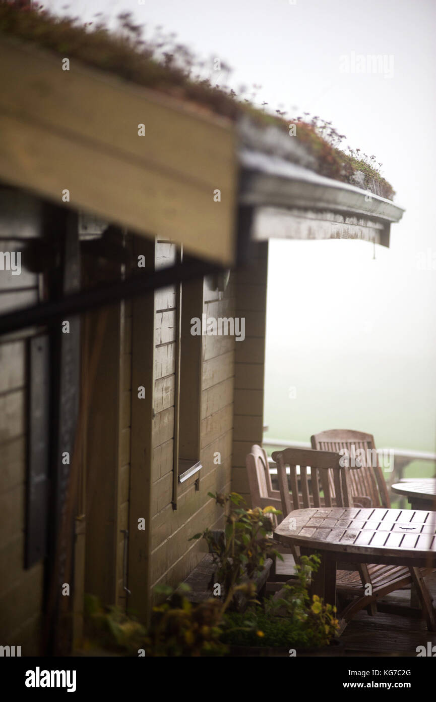 Wooden shack with grass / sedum roof on a rainy day Stock Photo - Alamy