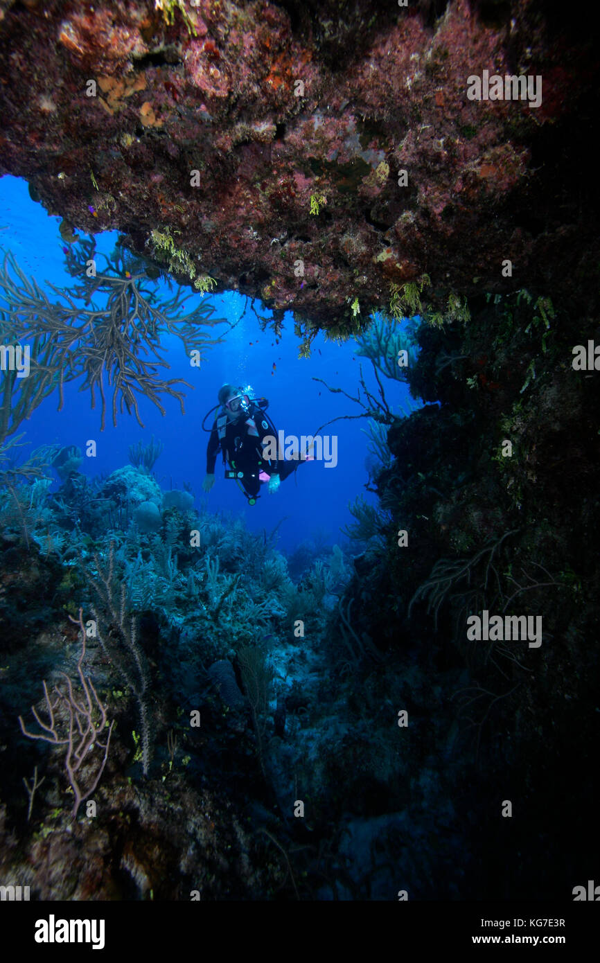 Exumas and underwater hi-res stock photography and images - Alamy
