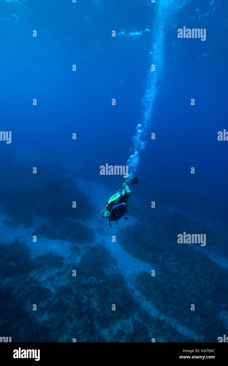 Scuba diver descending Stock Photo - Alamy