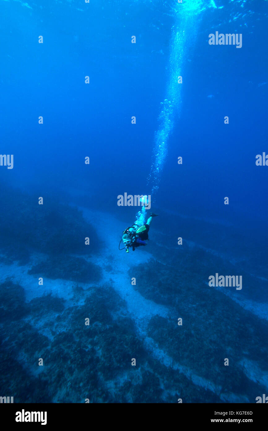 Scuba diver descending Stock Photo - Alamy