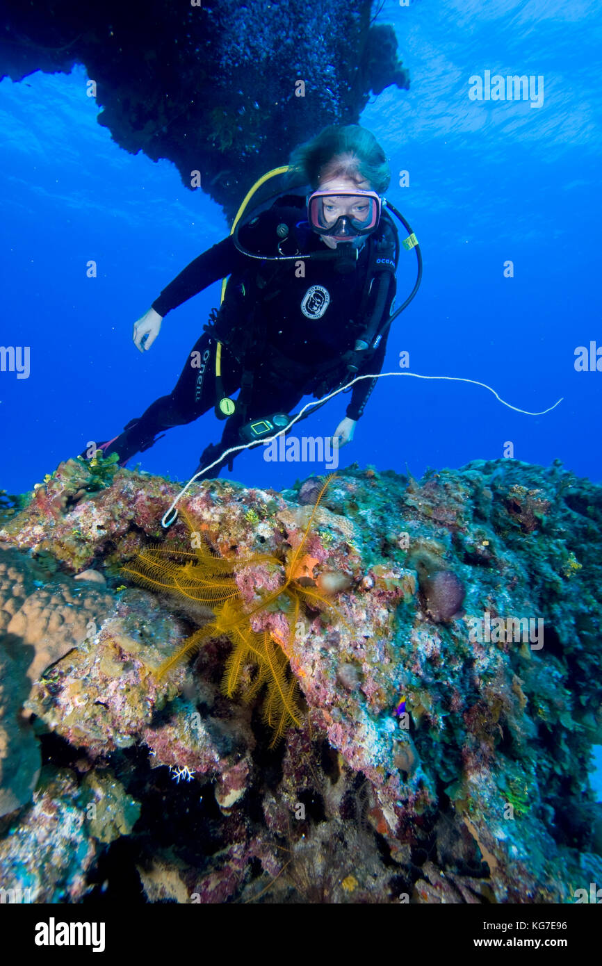 Cave Rock, Eleuthera, Bahama Islands Stock Photo - Alamy