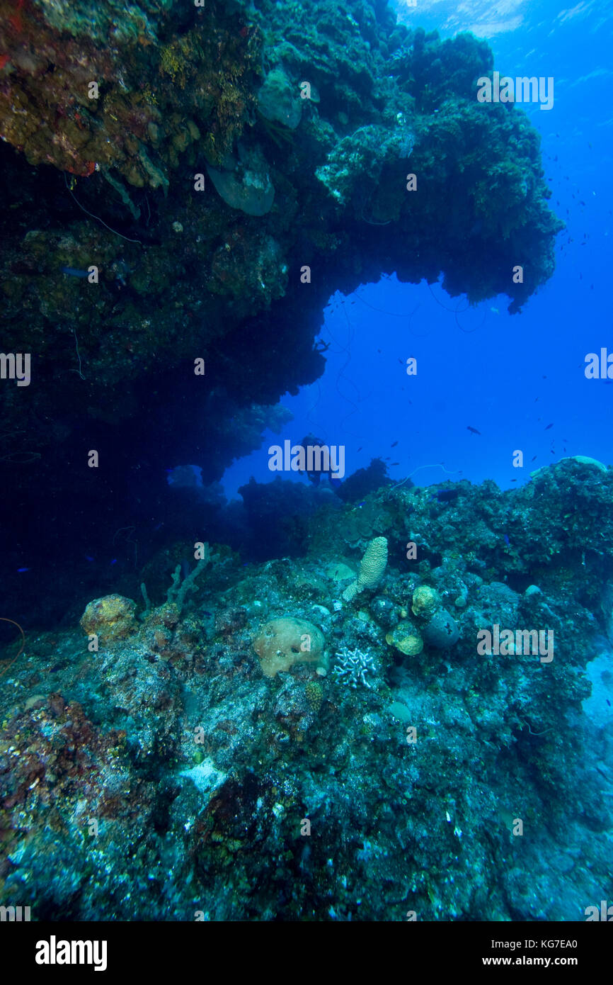 Cave Rock, Eleuthera, Bahama Islands Stock Photo - Alamy