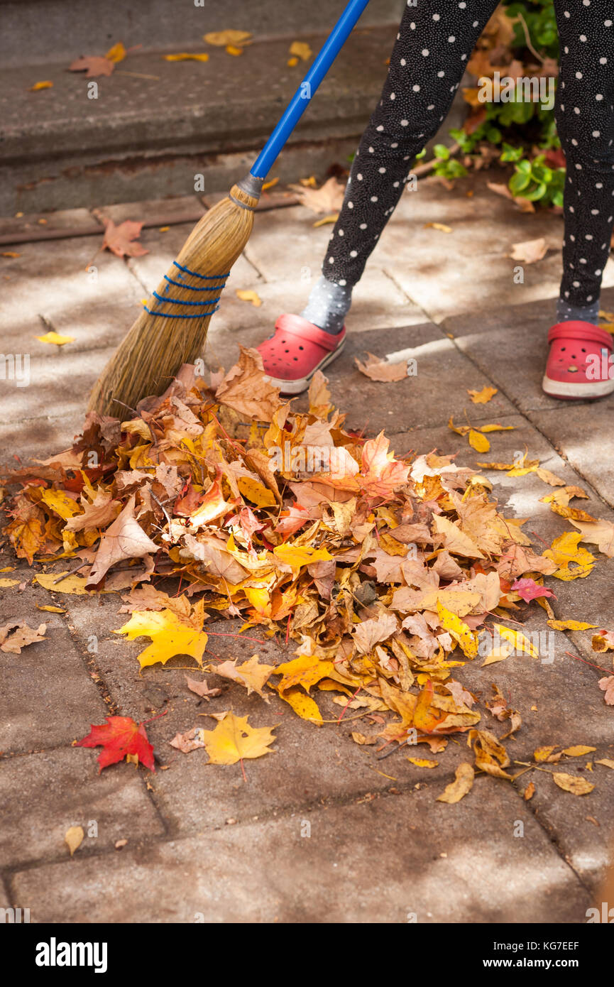 Person clearing autumn leaves from front yard Stock Photo - Alamy