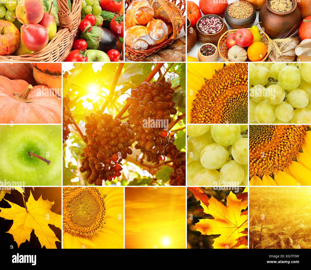 Autumn collage of fruits, vegetables, yellow leaves. Wide format. Four ...