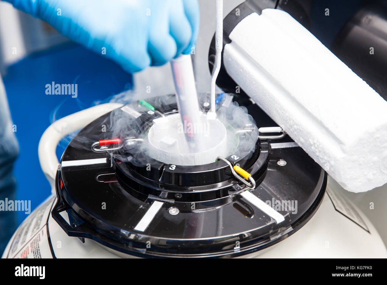 Cryogenics Laboratory