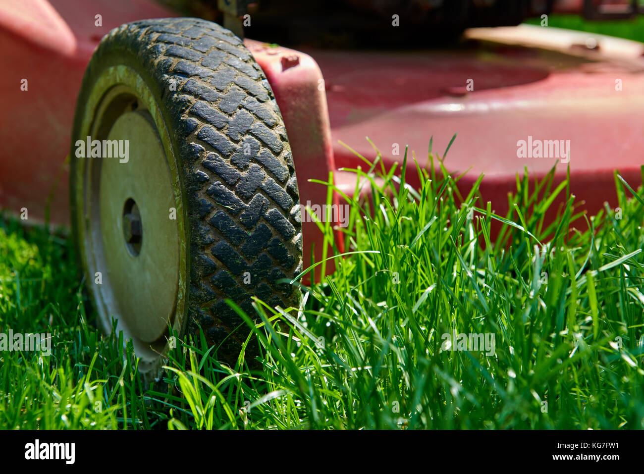 Low maintenance lawn hi-res stock photography and images - Alamy