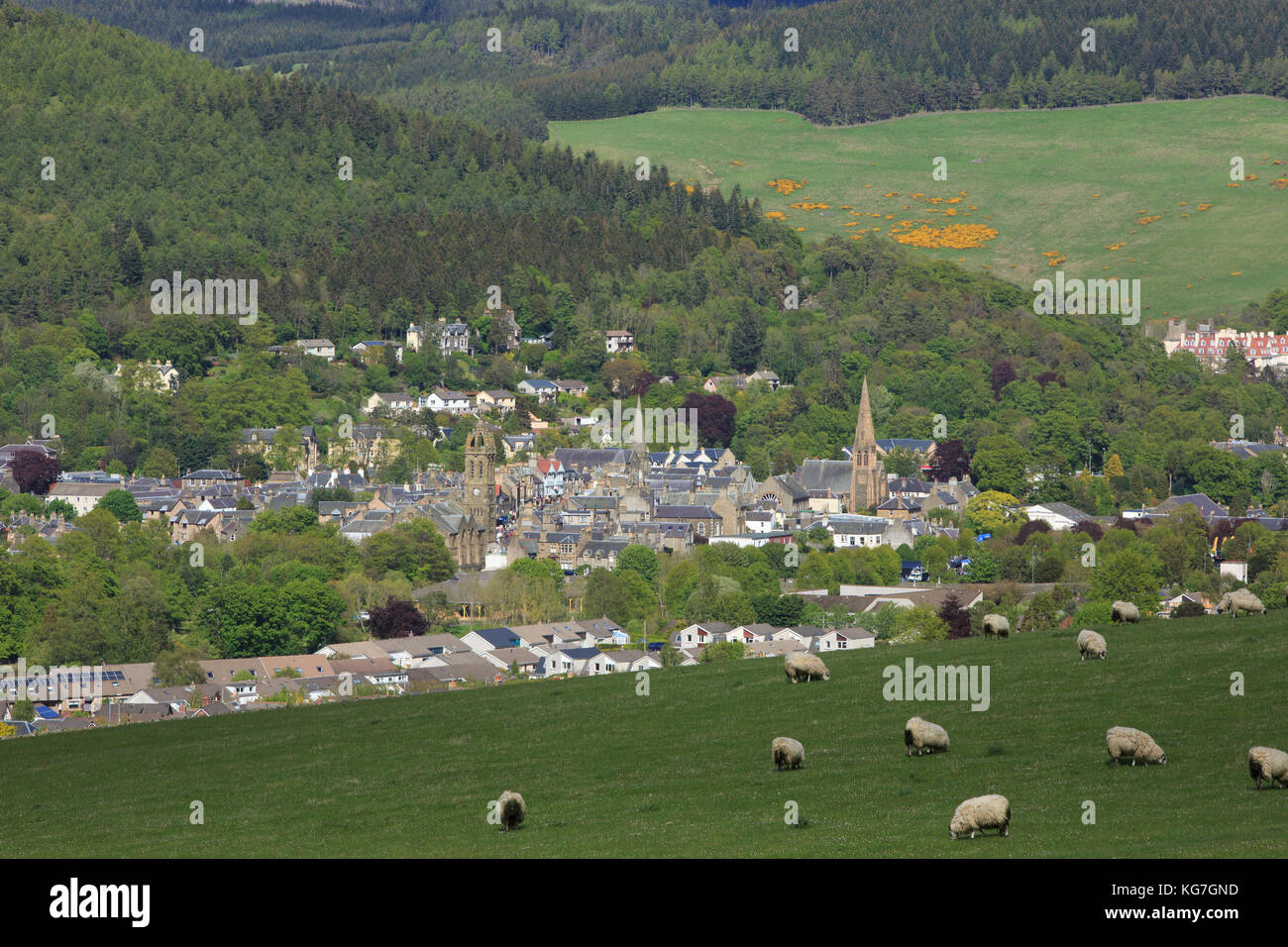 Peebles, in the Scottish Borders, sits in the Tweed Valley twenty miles ...