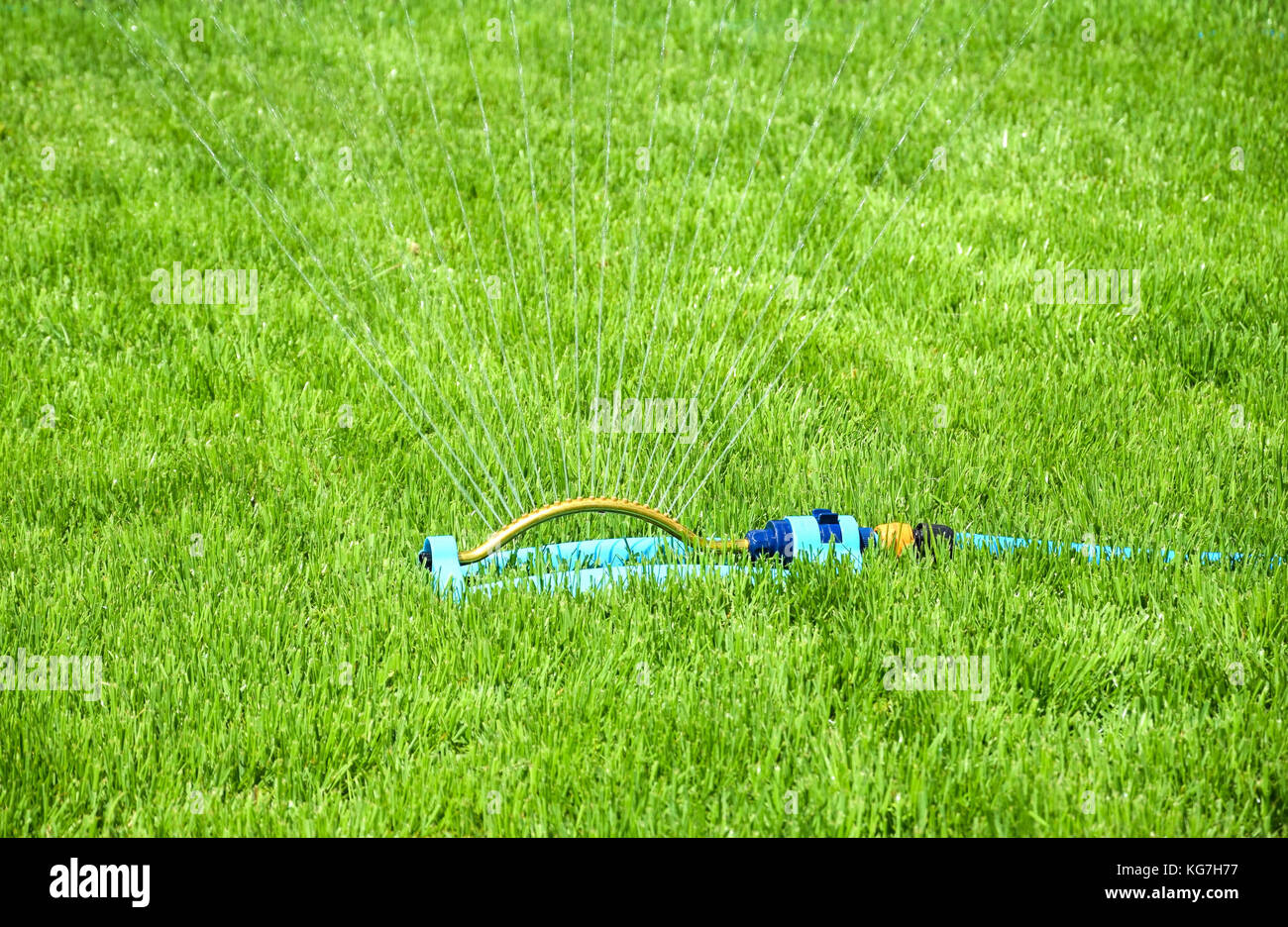 Watering the grass field Stock Photo - Alamy